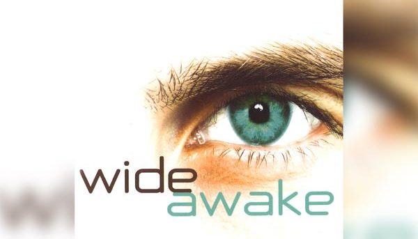 Book Review: Wide Awake