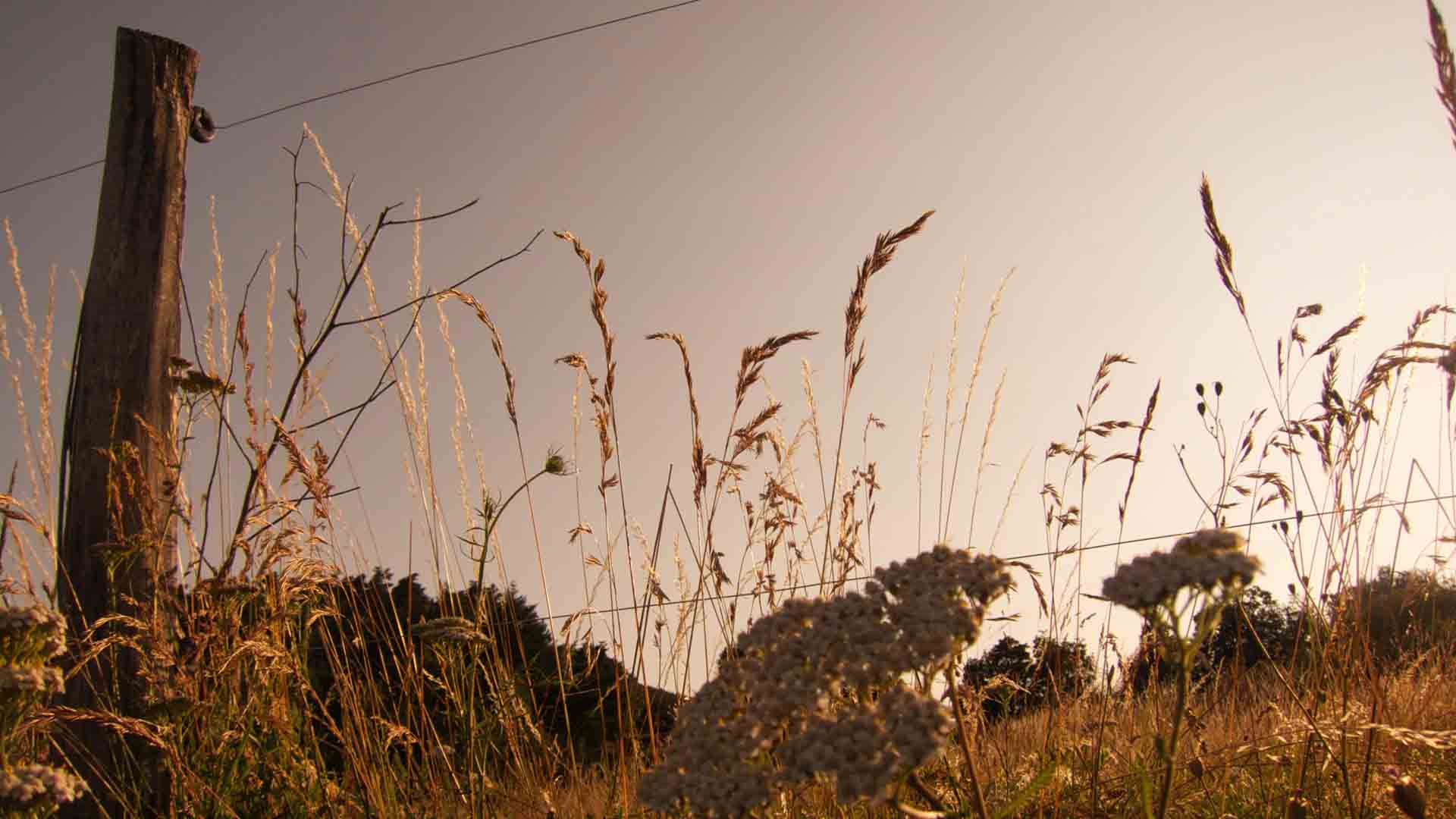 Enduring Temptation and Overcoming Sin