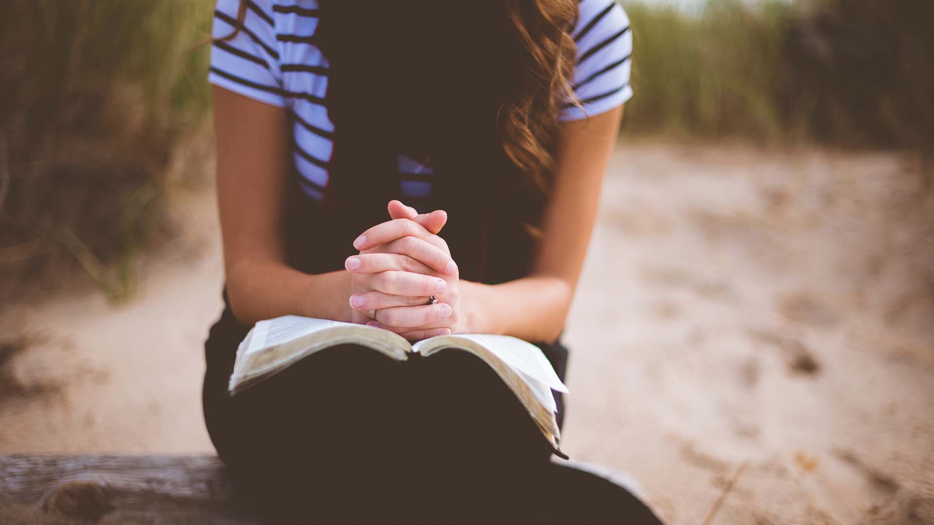 Gentle Jesus, Meek and … Modest?