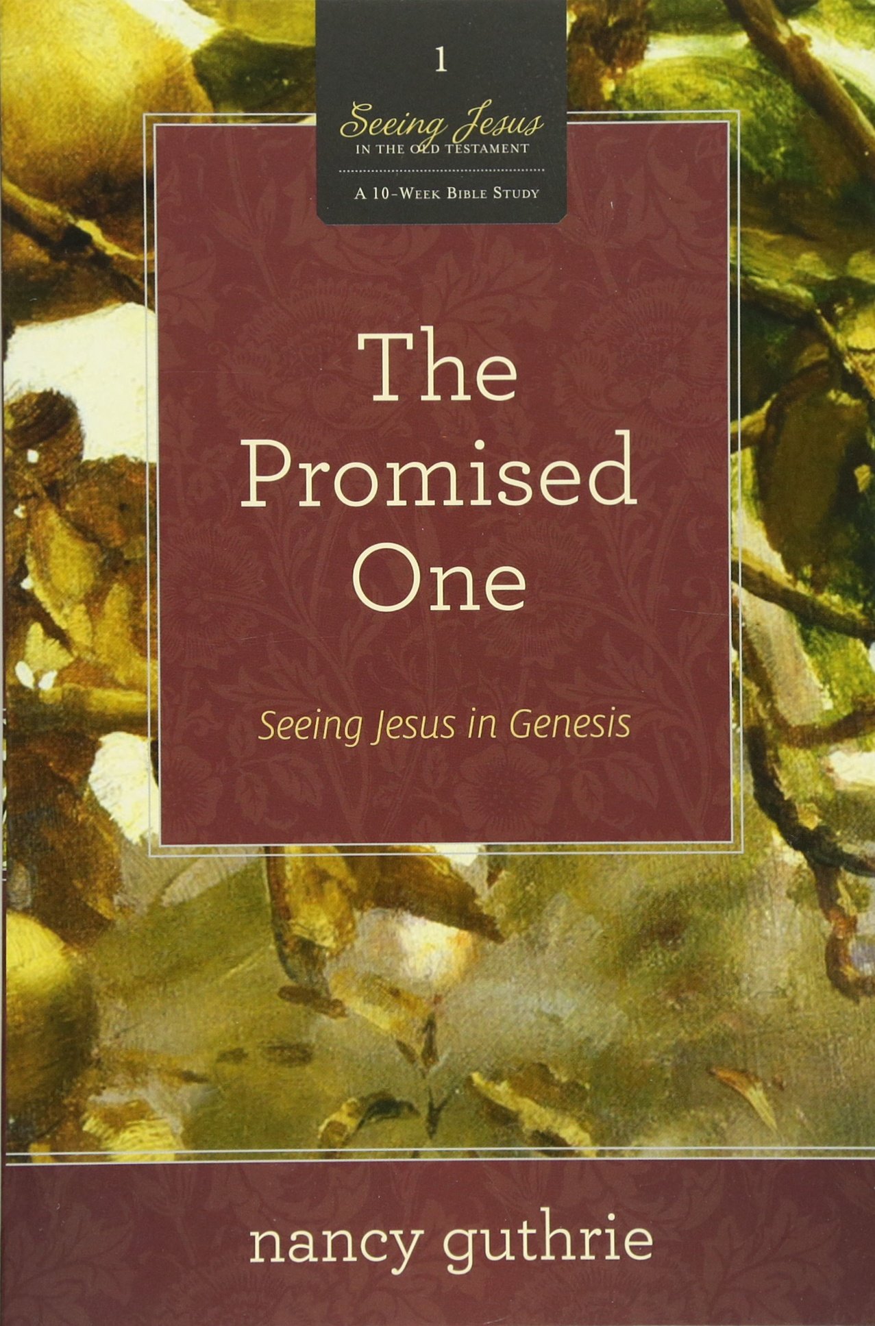 The Promised One: Seeing Jesus in Genesis