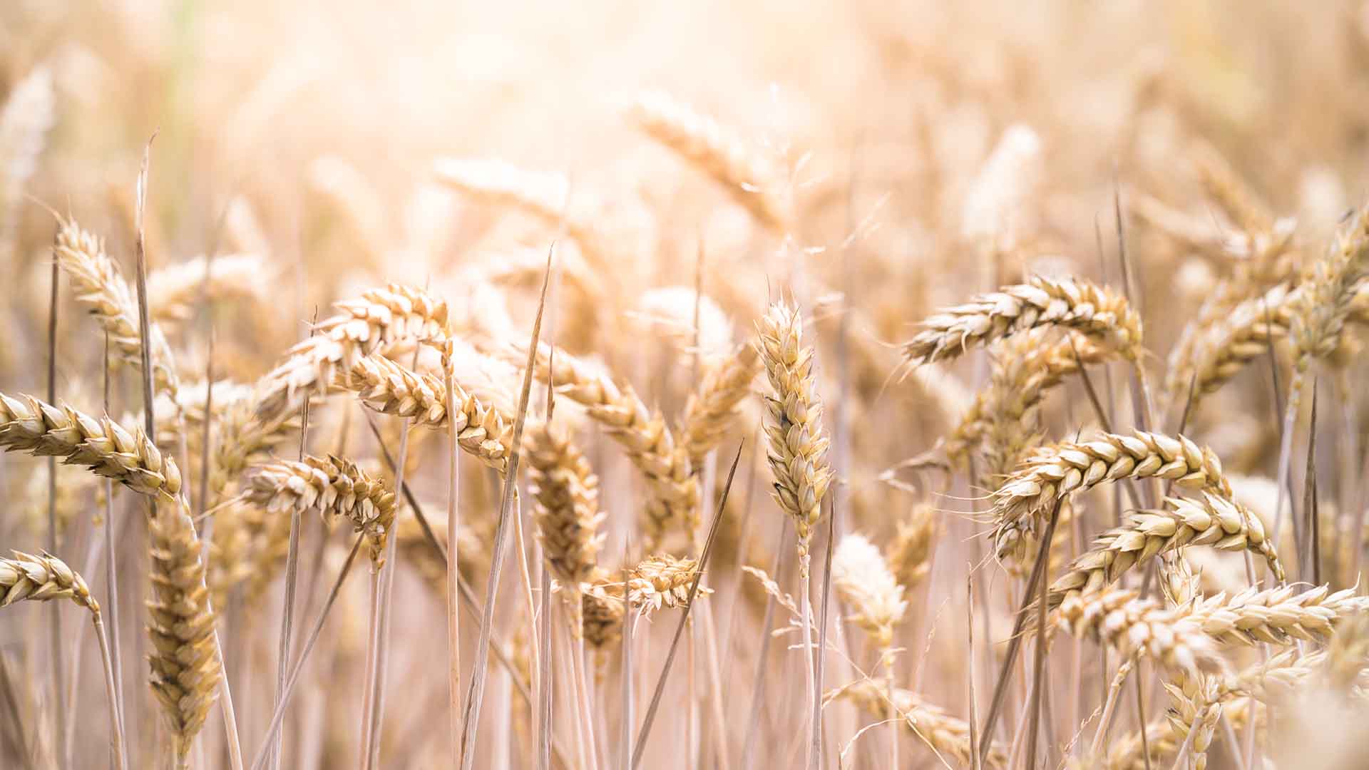 Did the Hebrews Worship an Imperfect God?