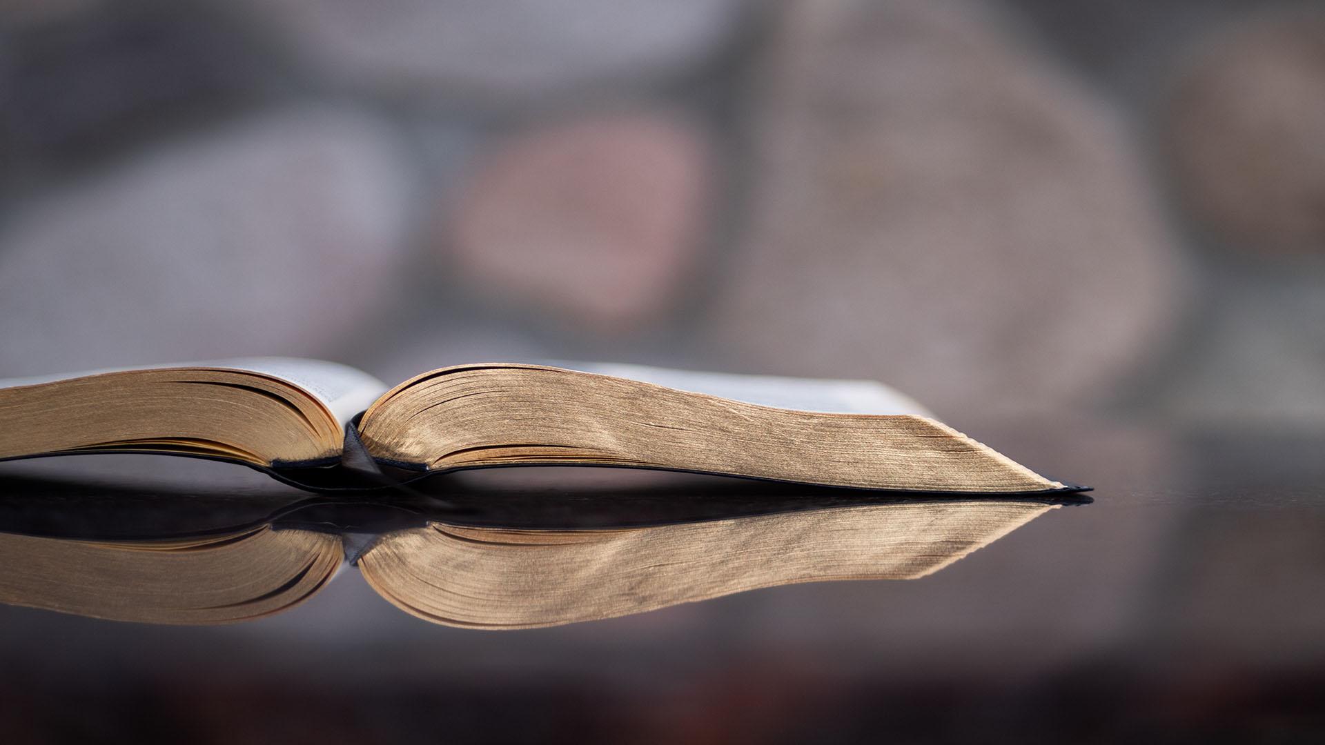 Apocrypha and Canon in Early Christianity