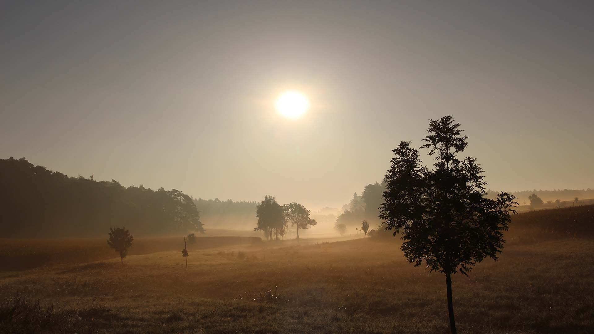 Those Who Sleep in the Dust Will Awake