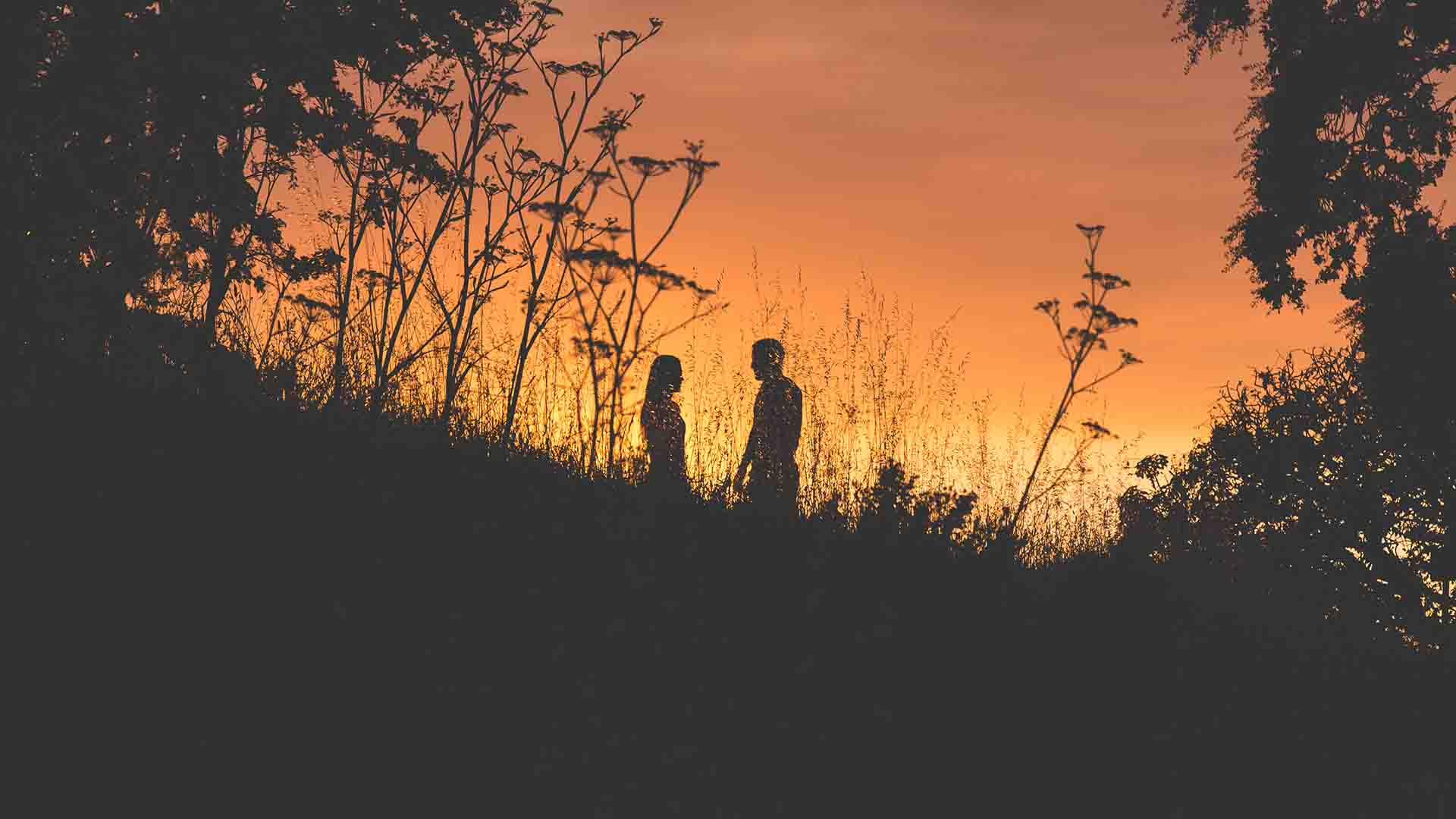 5 Evidences of Complementarian Gender Roles in Genesis 1-2