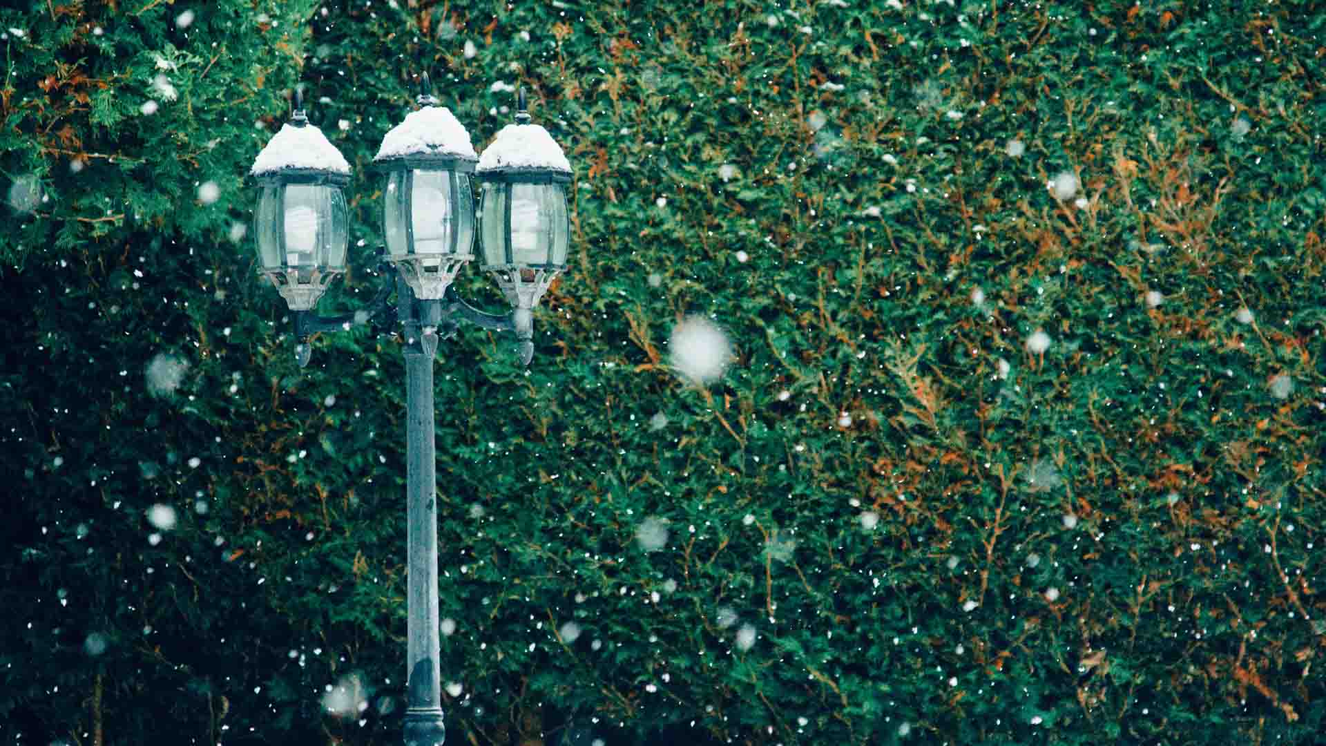 9 Things You Should Know About The Chronicles of Narnia