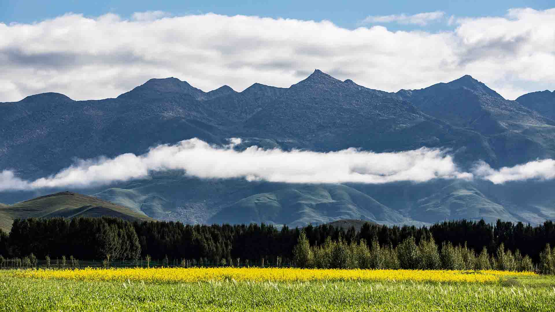 Apologetics and the Role of Plausibility Structures