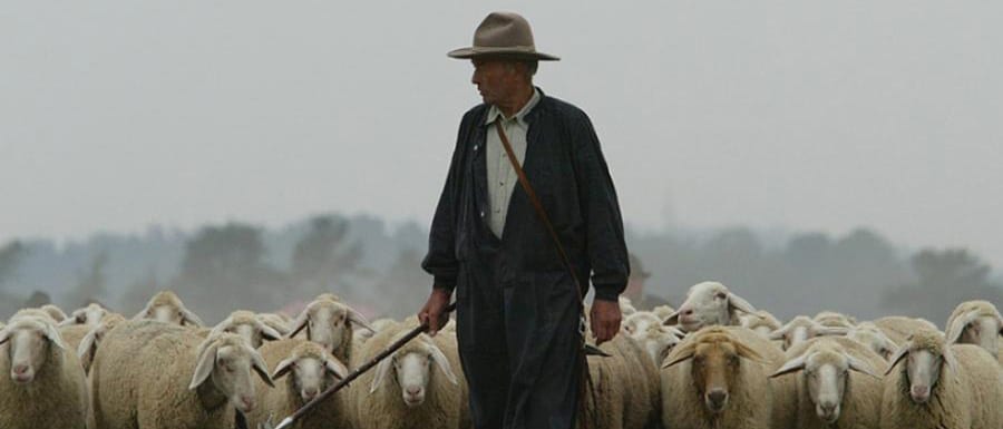 Dear Timothy: Embrace Your Weakness