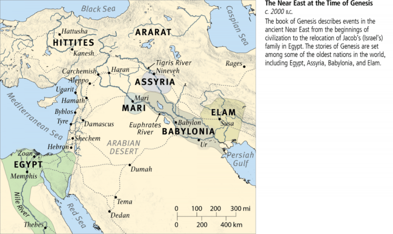 TGC Course | Introduction to Genesis