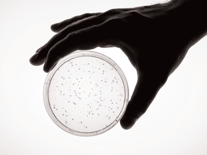 Where Can Discarded Embryos Go?