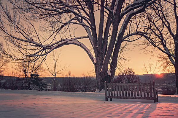 9 Things You Need to Know About Widows