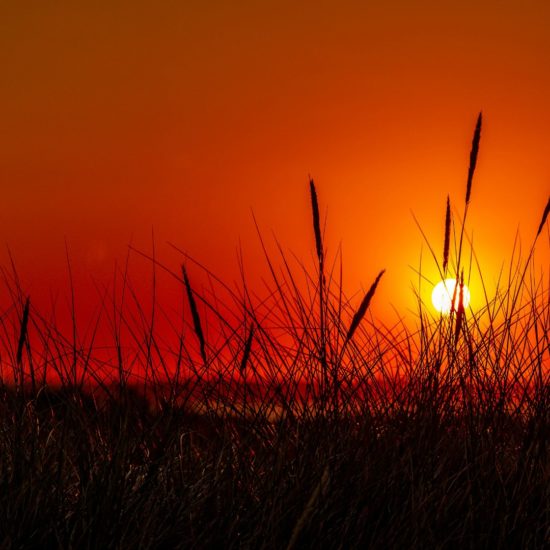 Jesus Was Raised to Show His Power Over Death