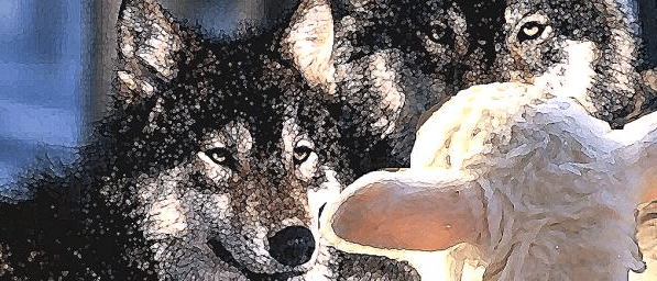 Lambs in the midst of wolves