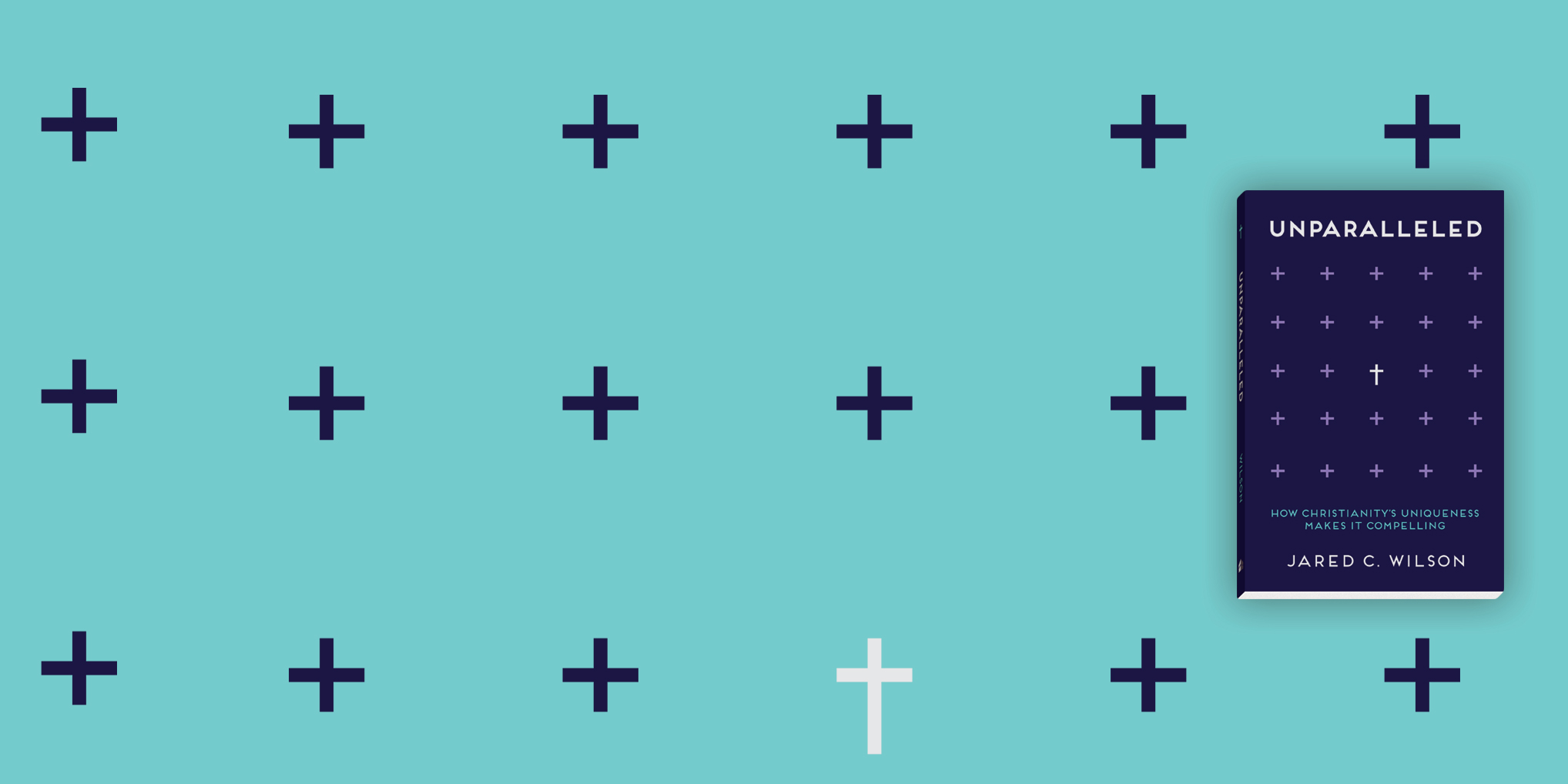 The Gospel, The Law, and The Steve Miller Band-Quoting Muslim Cab Driver