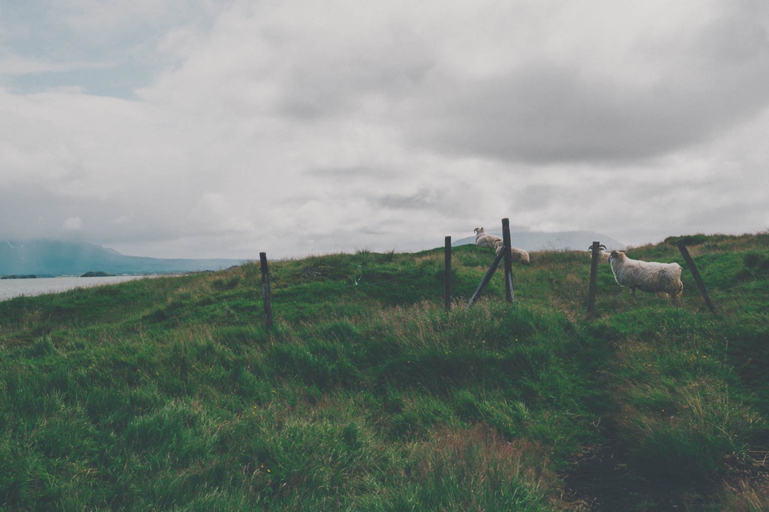 Why Knowing Your Flock is Critical for Meaningful Preaching