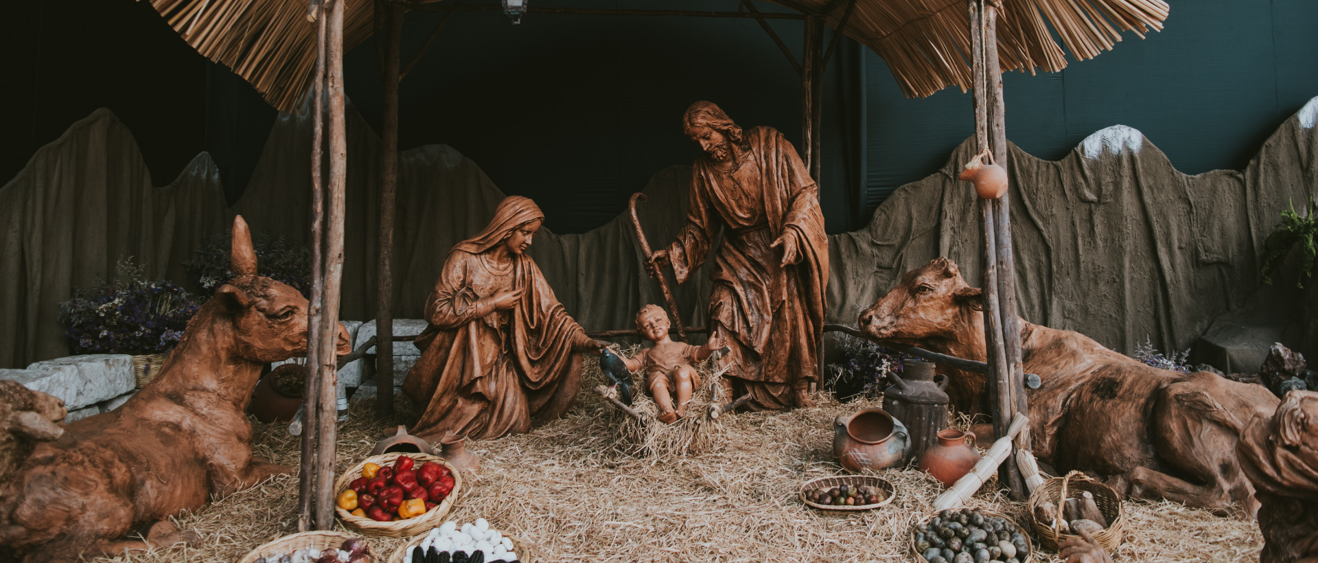 8 New Resources for Advent