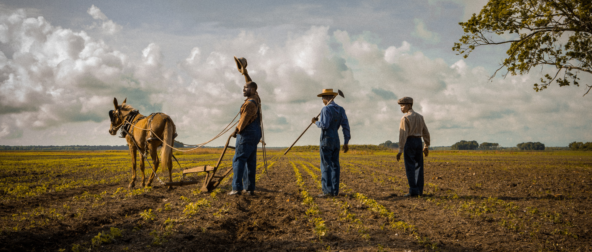 ‘Mudbound’ Addresses Division by Looking at Dirt