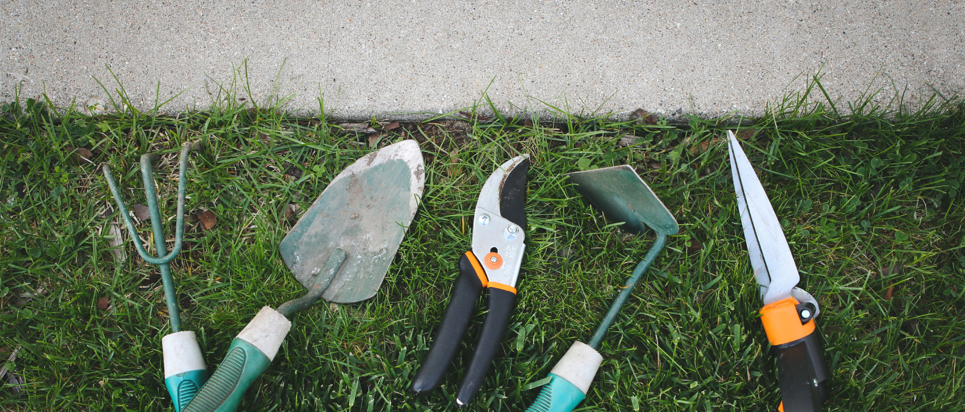 If God Loves You, He Will Prune You