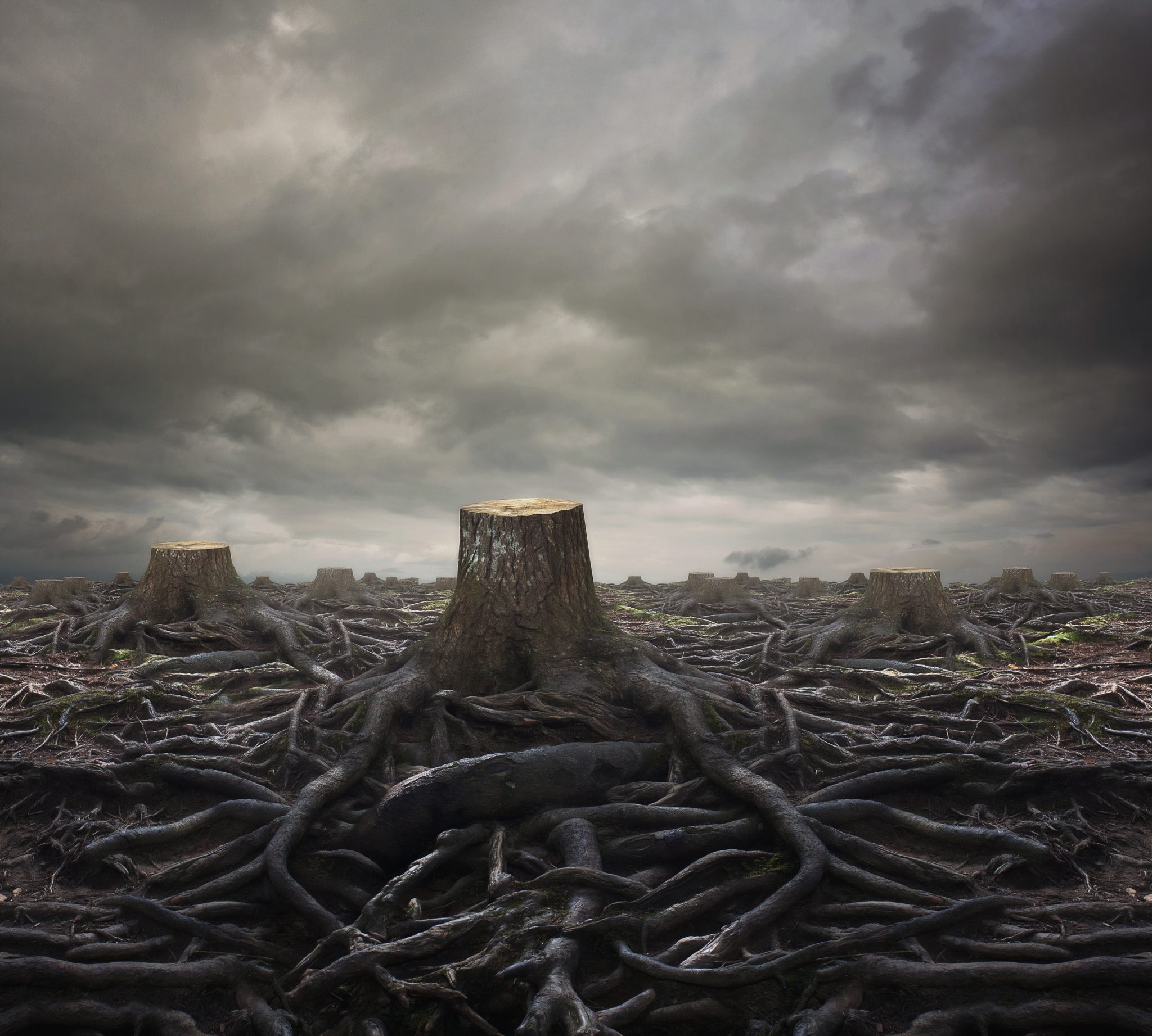 Deep Darkness Before Dawn