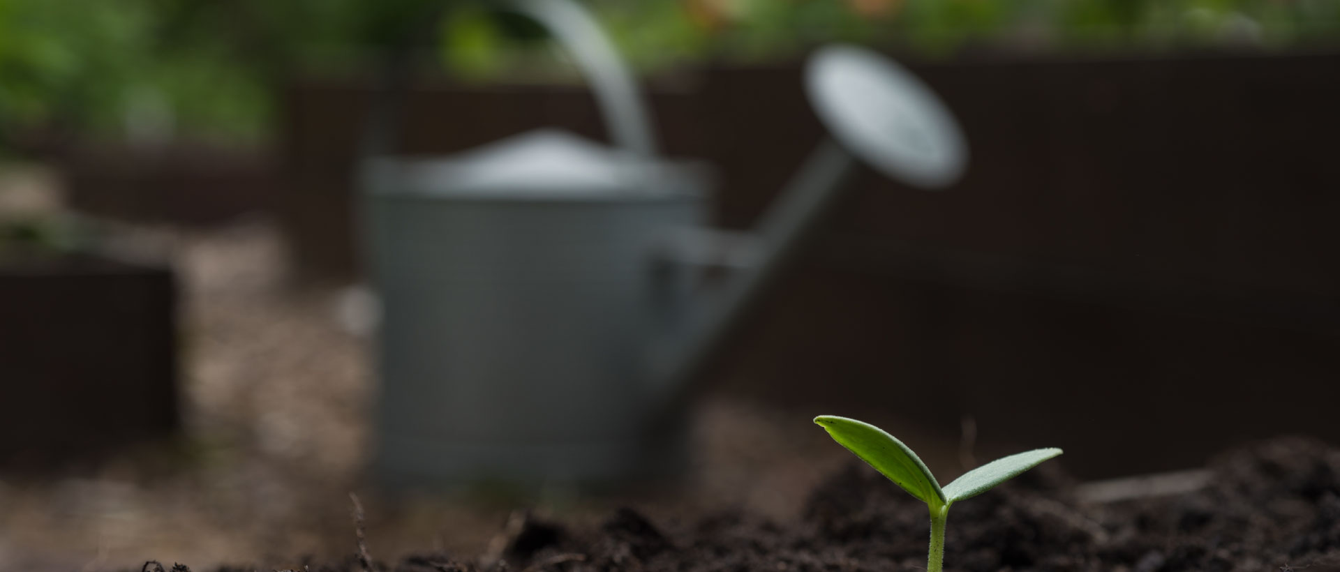 Results Are Not Your Responsibility