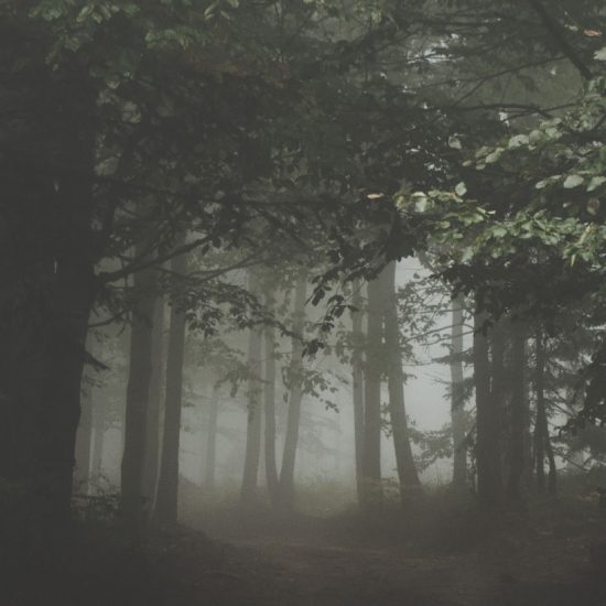 ‘Nickel Boys’ and the Double Victory of Love Over Racial Injustice