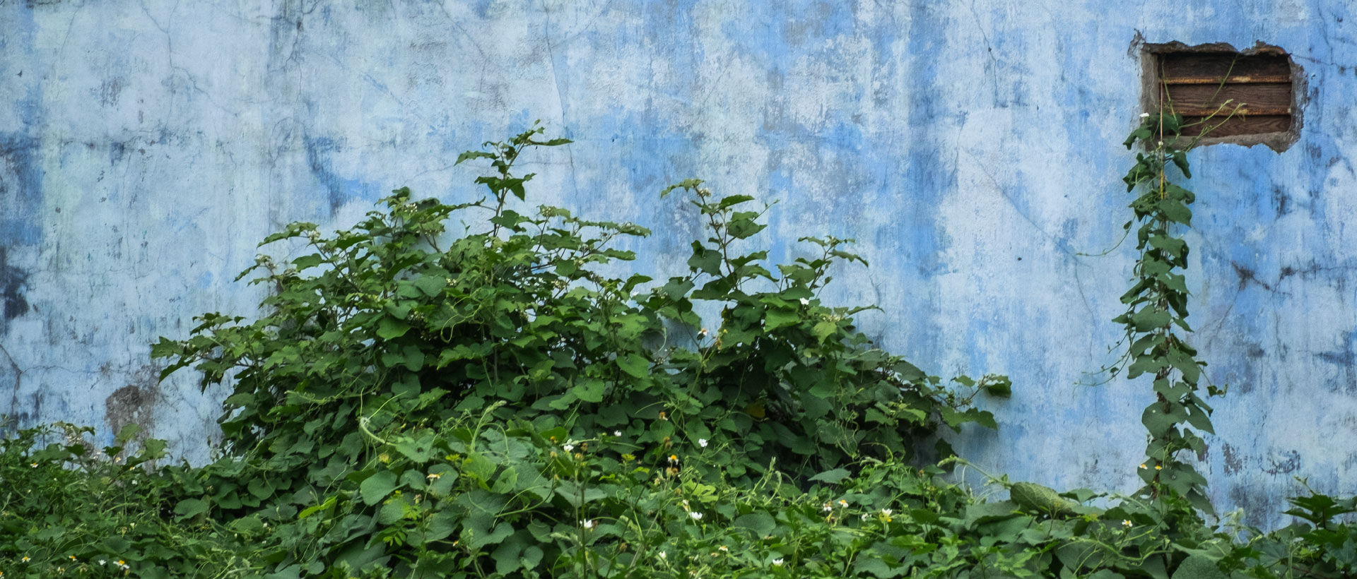 Meet Jonah—the Prodigal Prophet