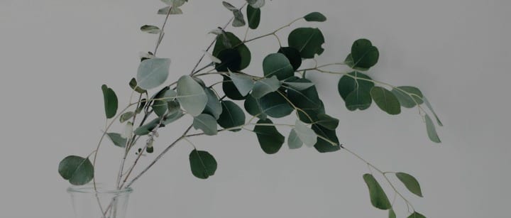 Taylor Turkington and Courtney Doctor on TGC’s Women’s Training Network