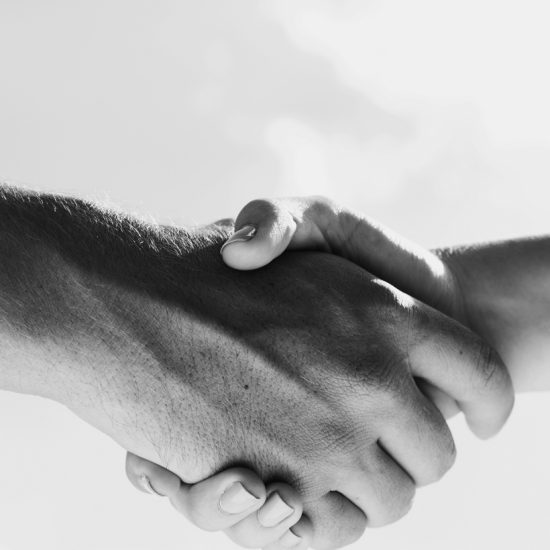 The Difficult Call to Promote Peace and Unity in the Church