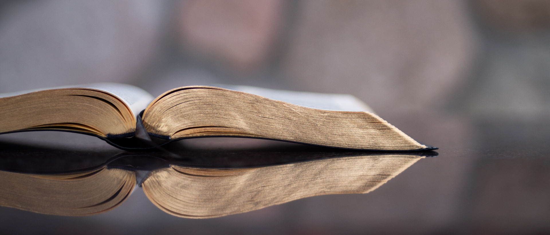 4 Ways Your Whole Bible Points to Jesus