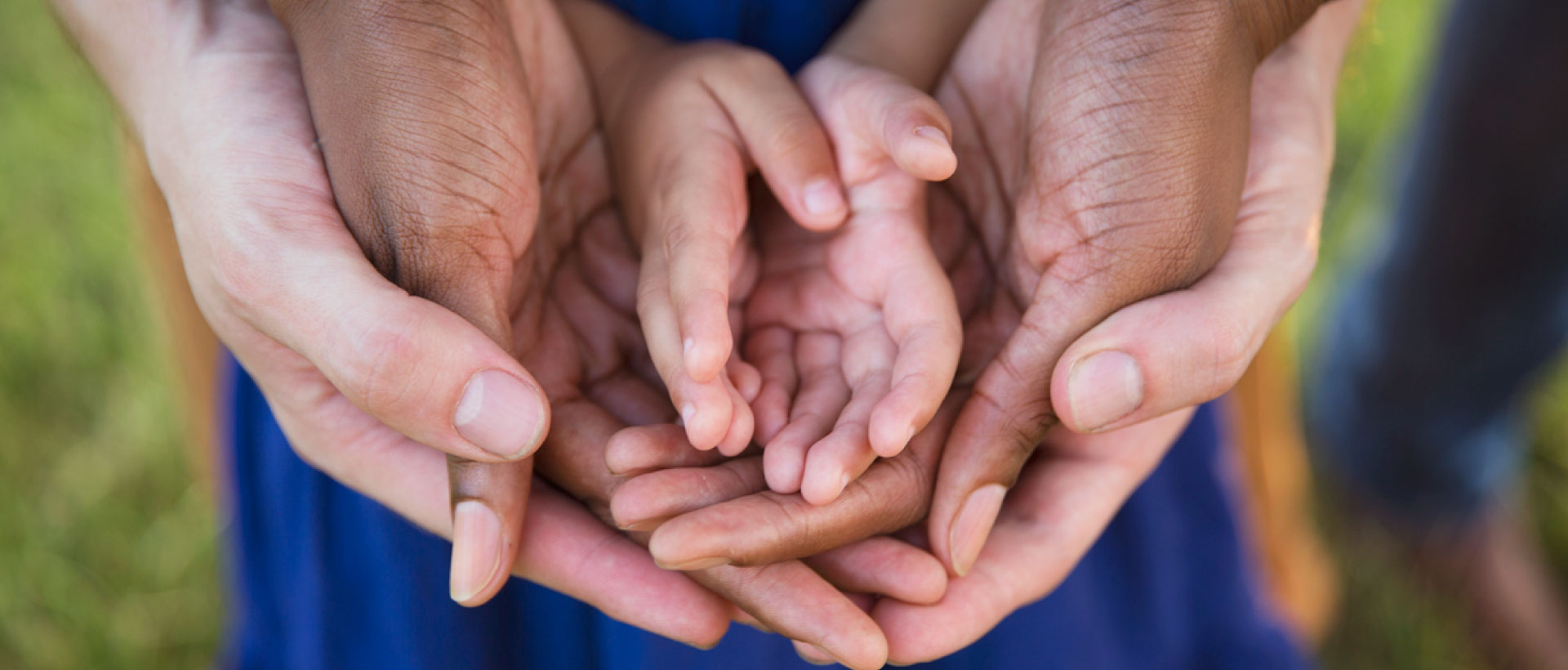 How Do You Know If You Should Adopt?