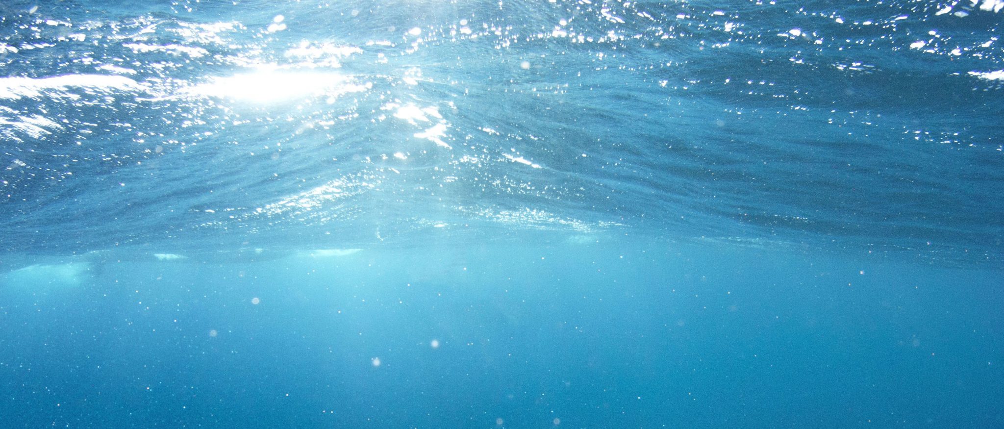 What Does Born Of Water And The Spirit Mean In John 3 5 