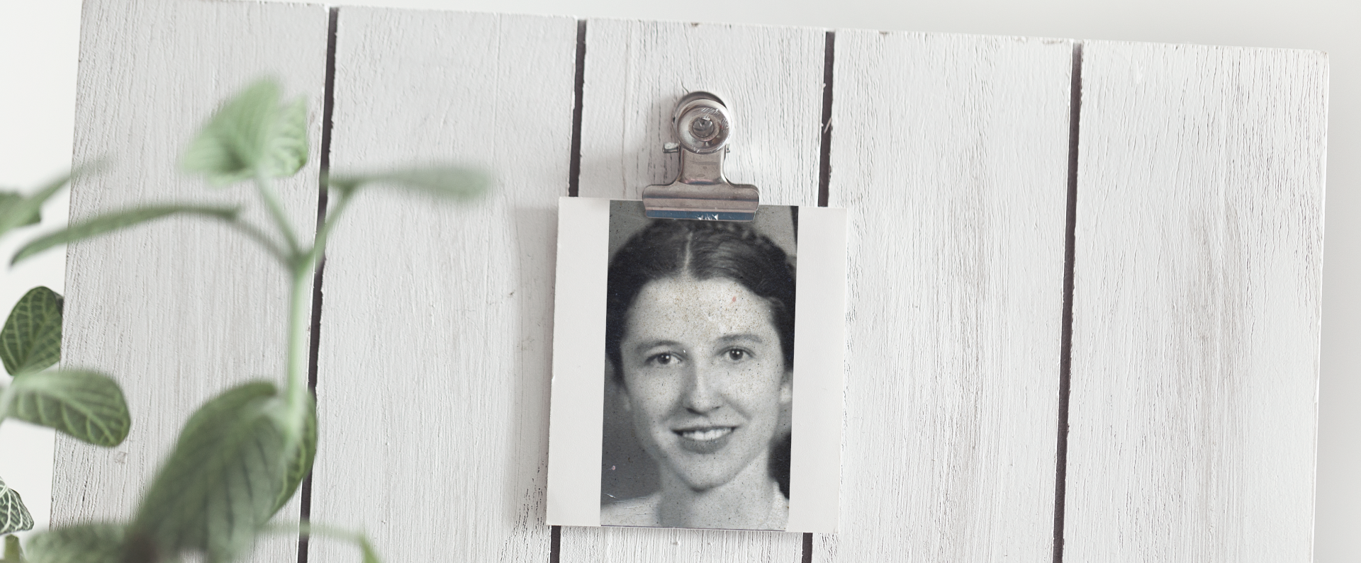 Who First Showed Tom Nelson the Beauty of Jesus?