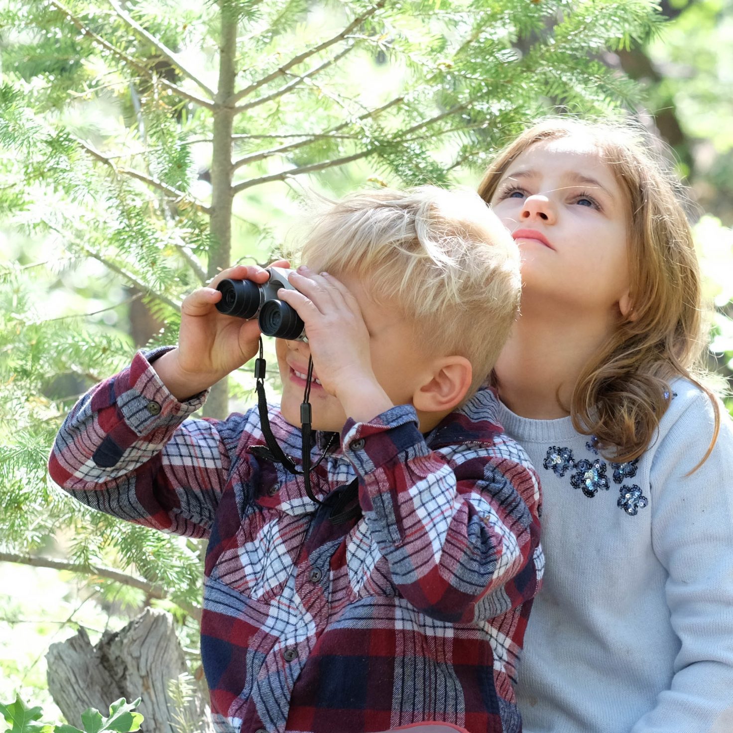 3 Reasons God Sends the Bread of Adversity