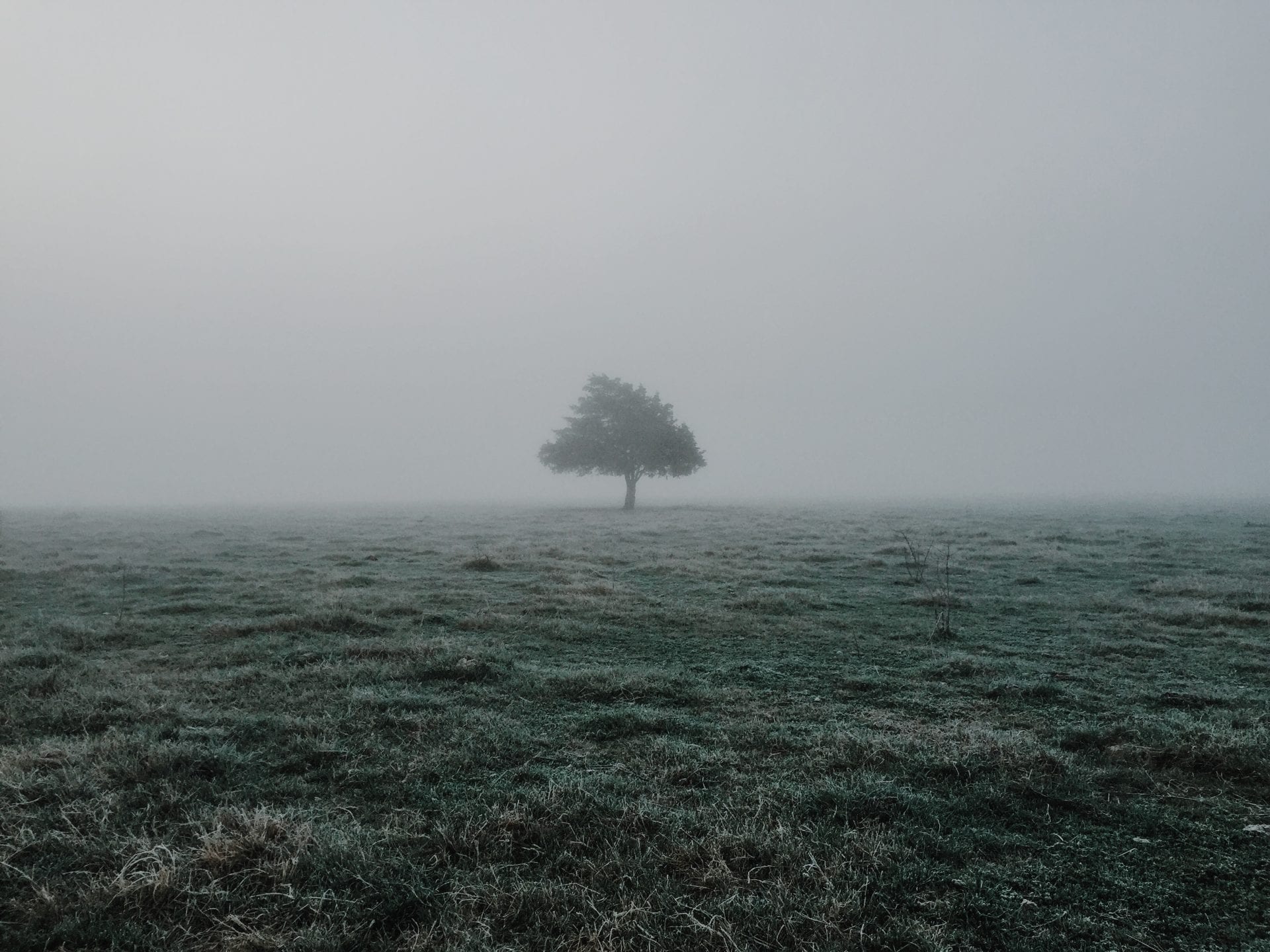 ‘Glorious But Terrifying Isolation’—Individualism in American Culture