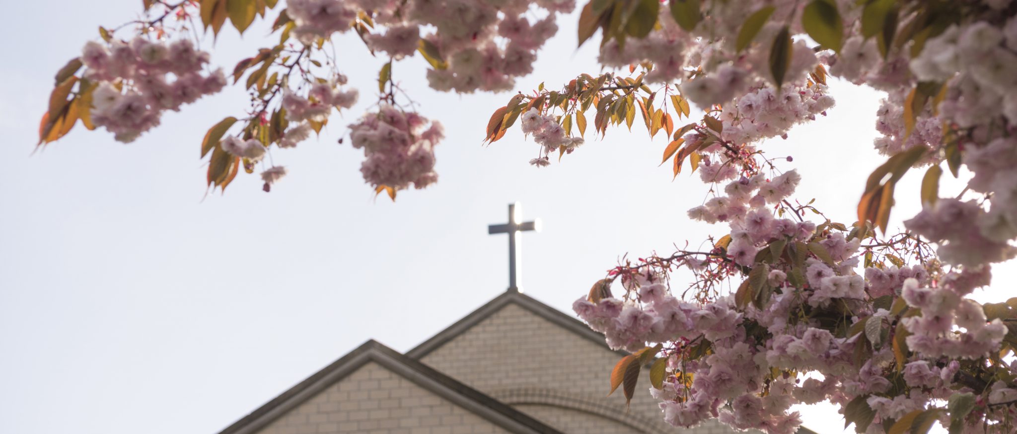 5 Features That Made the Early Church Unique