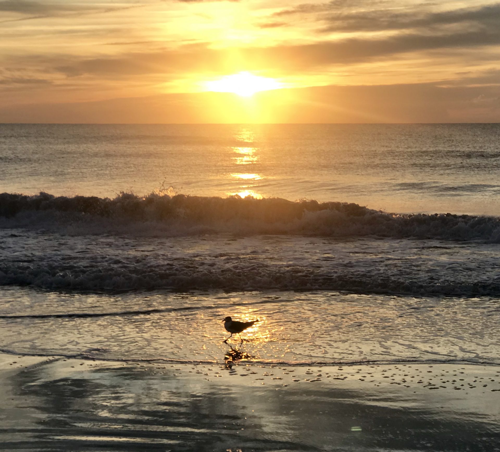 Jesus Gives Us Every Good Thing