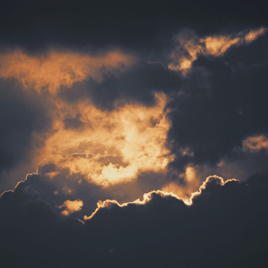 Did Jesus Have a Fallen Human Nature?