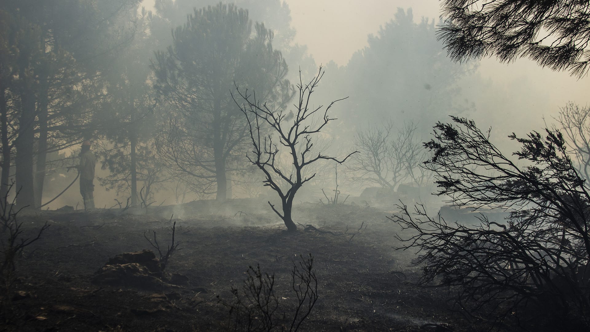A Word of Hope in Scorched Places