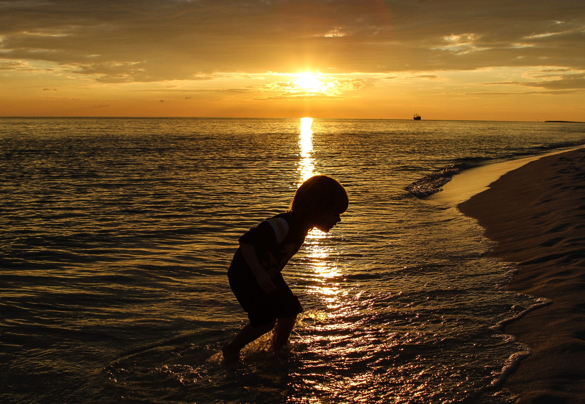 Our Coronation of Eternal Giddiness