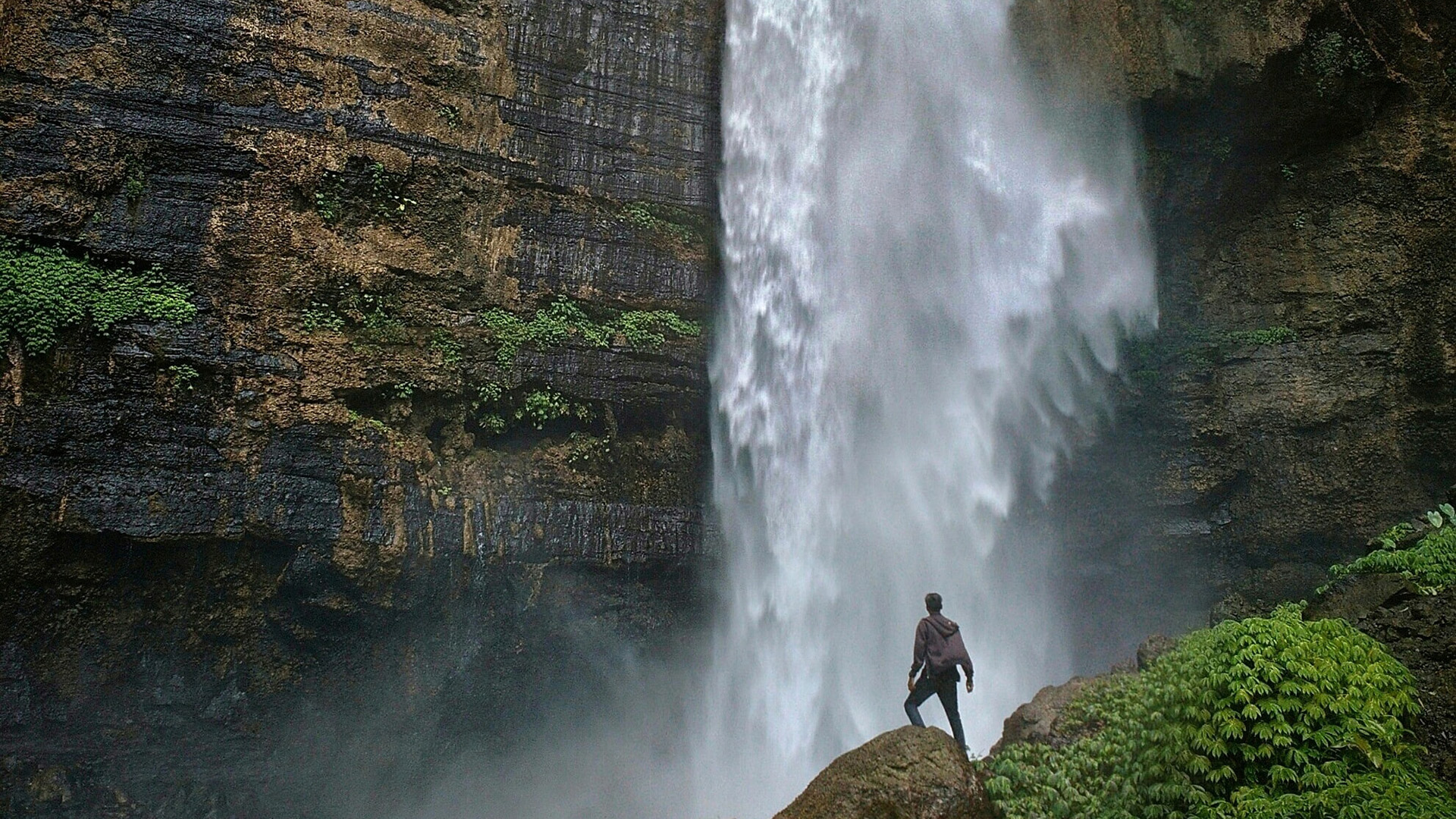 Review: ‘After Humanity: A Guide to C.S. Lewis’s The Abolition of Man ...