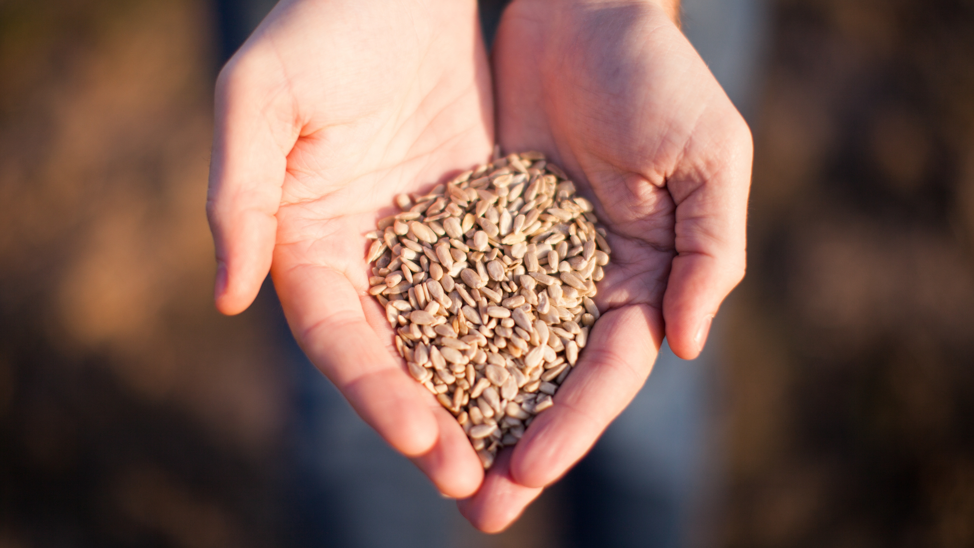 6 Lessons for Tending Your Time