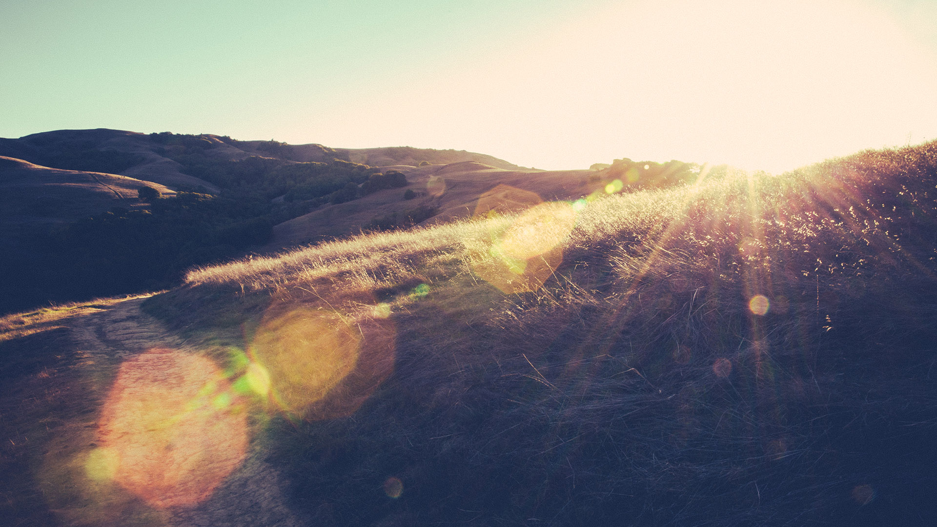 The Secular Denial of Evolution