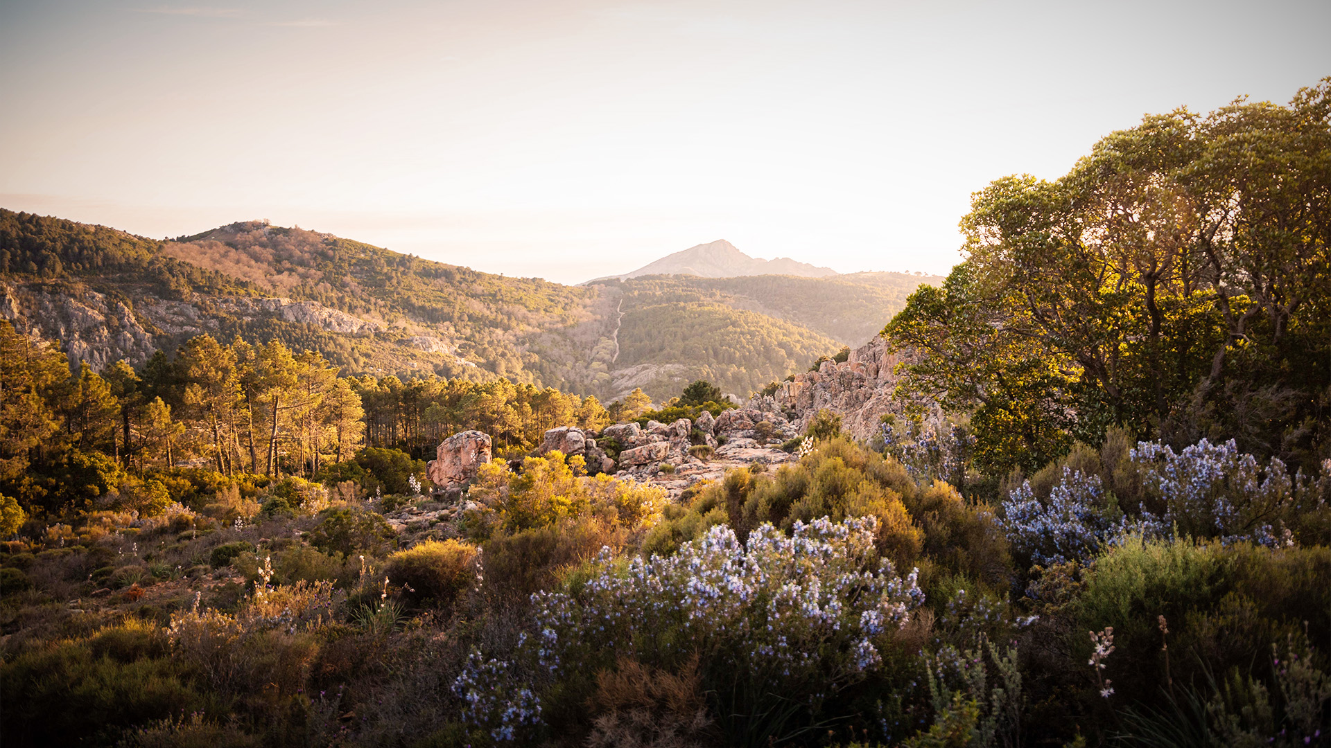 Review: ‘What Are Christians For?’ by Jake Meador