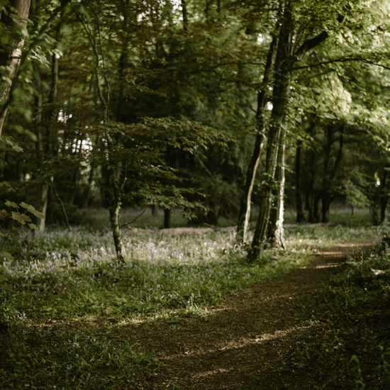 The 8 Stages of Long-Term Pastoral Ministry