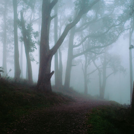 The Cost of Telling the Truth in a World of Lies