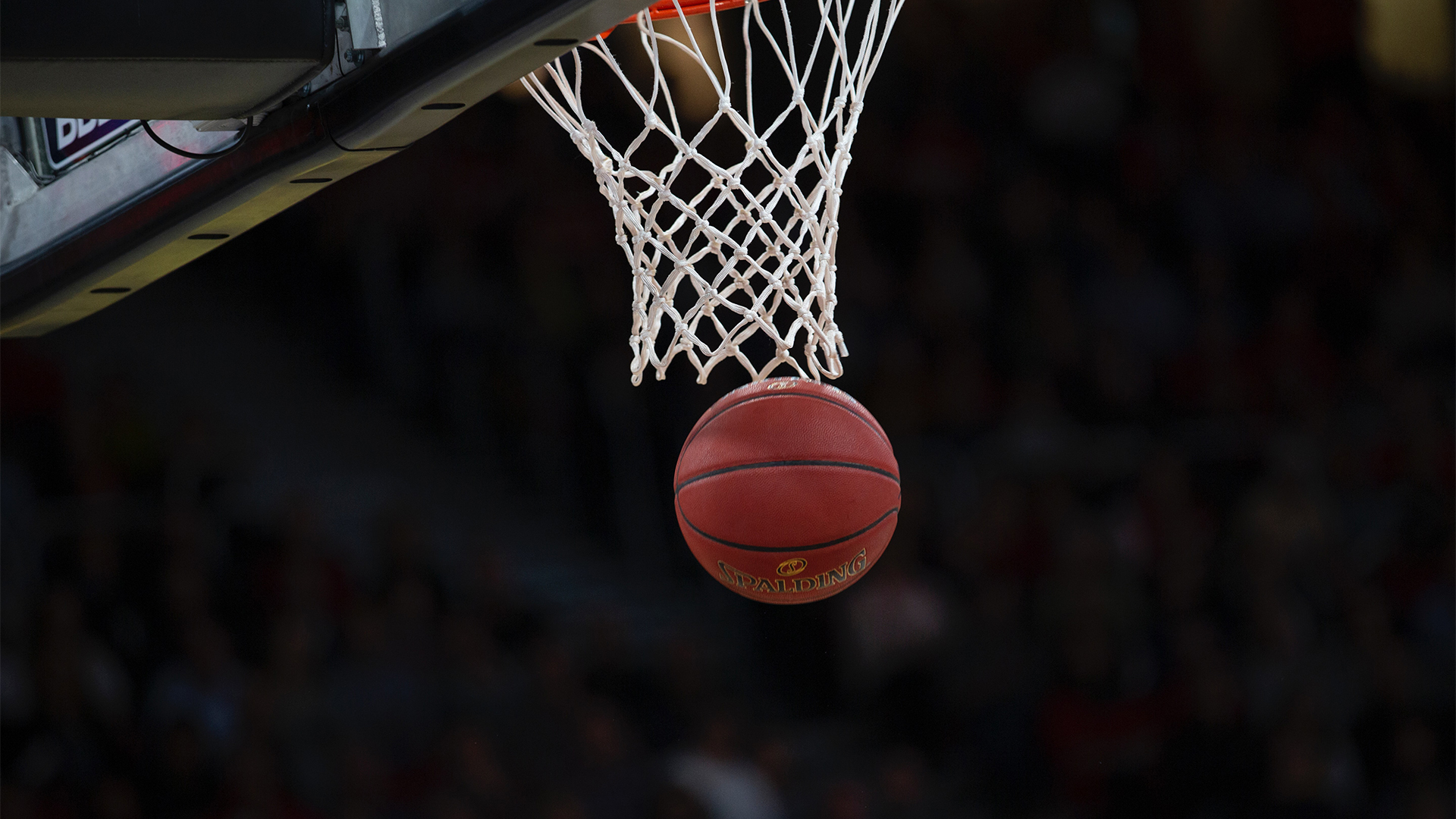 5 Ways to Maintain Unity amid Disagreement