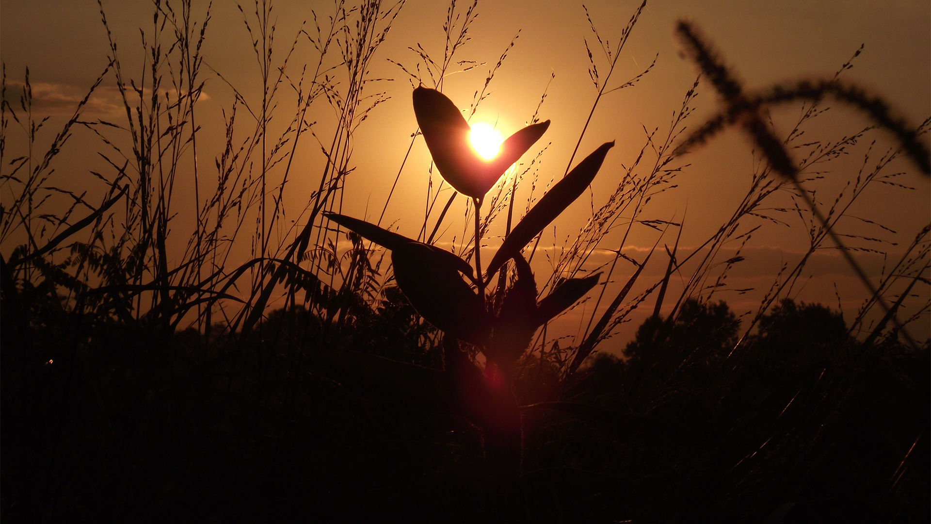 40-Year-Old Moses vs. 80-Year-Old Moses