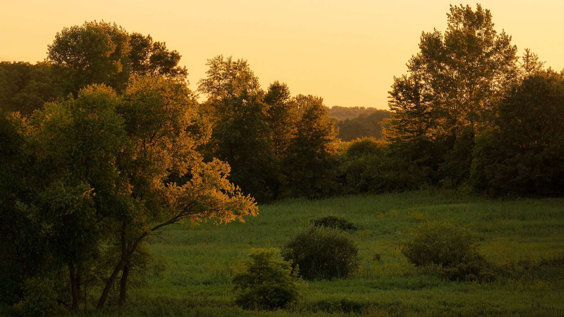 4 Things Creation Teaches Us About God