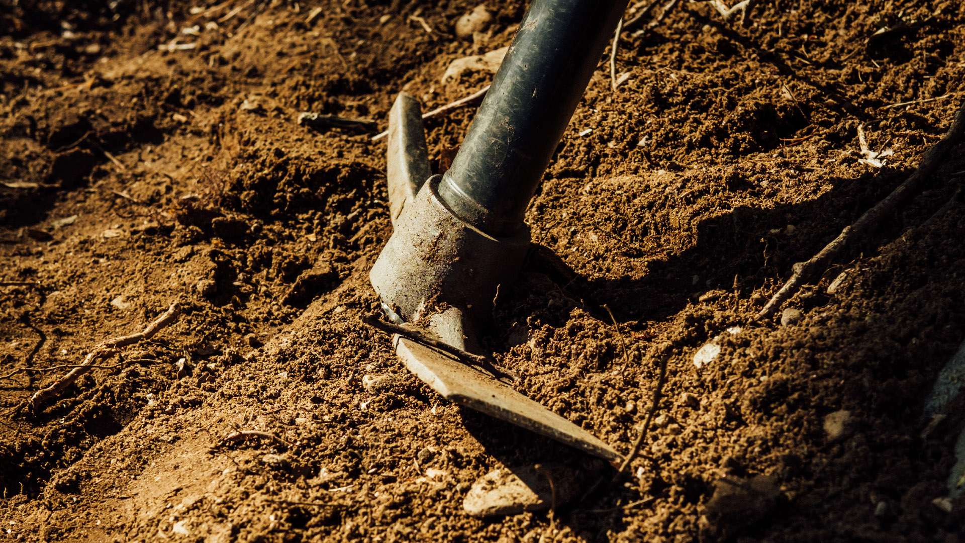 John Piper on the Nature of Saving Faith