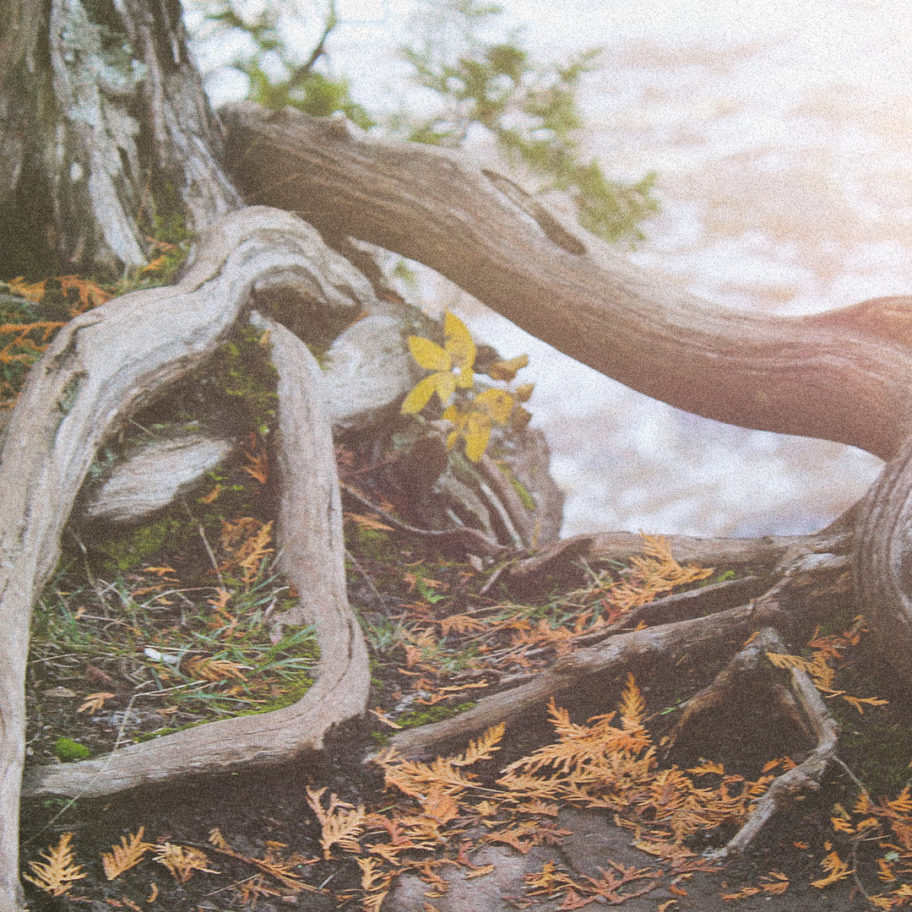 Christians Should Marry Christians—but Why?