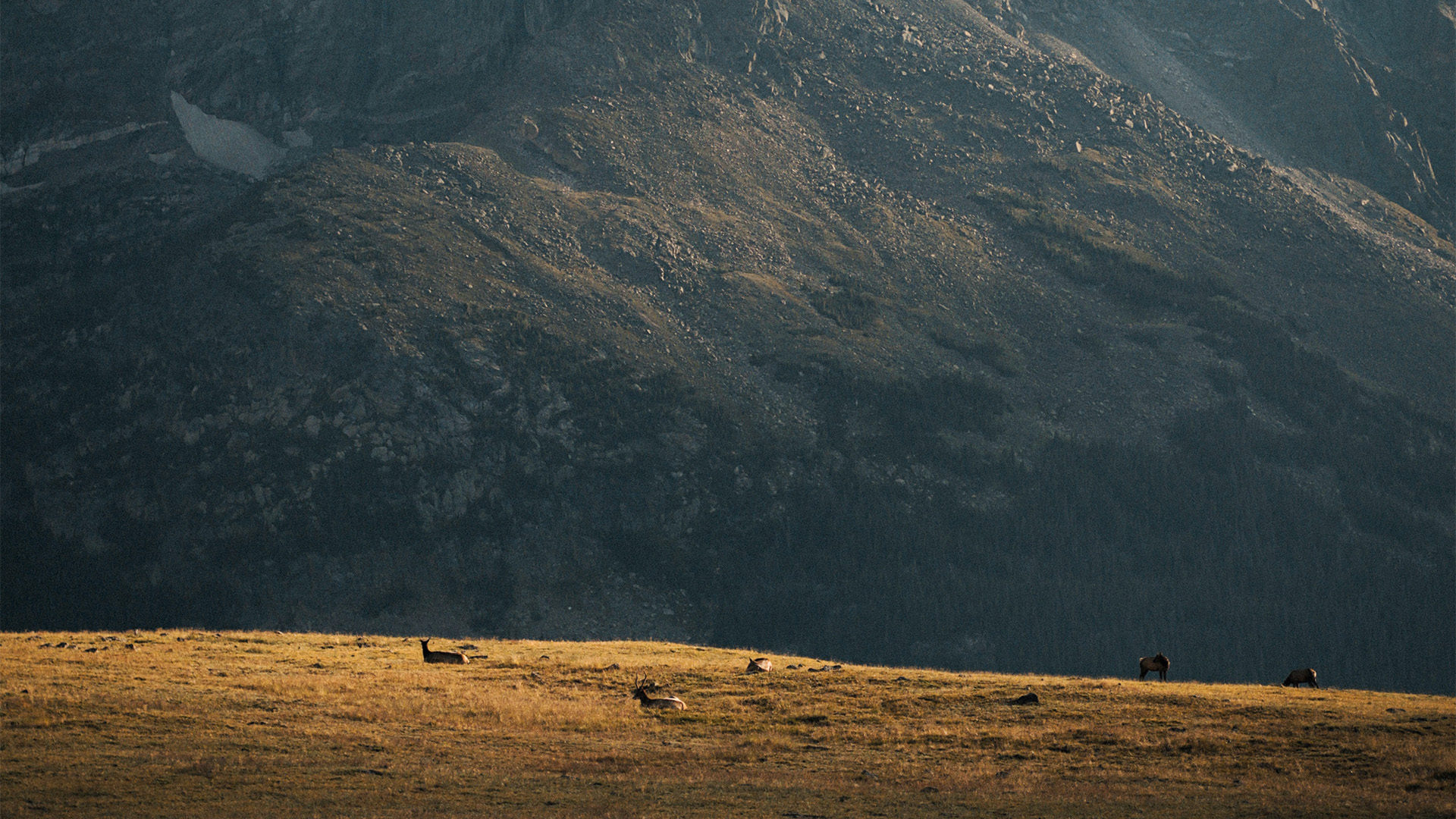 Review: ‘Workers for Your Joy’ by David Mathis